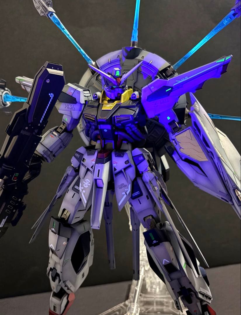 MG プロヴィデンスガンダム　全塗装完成品