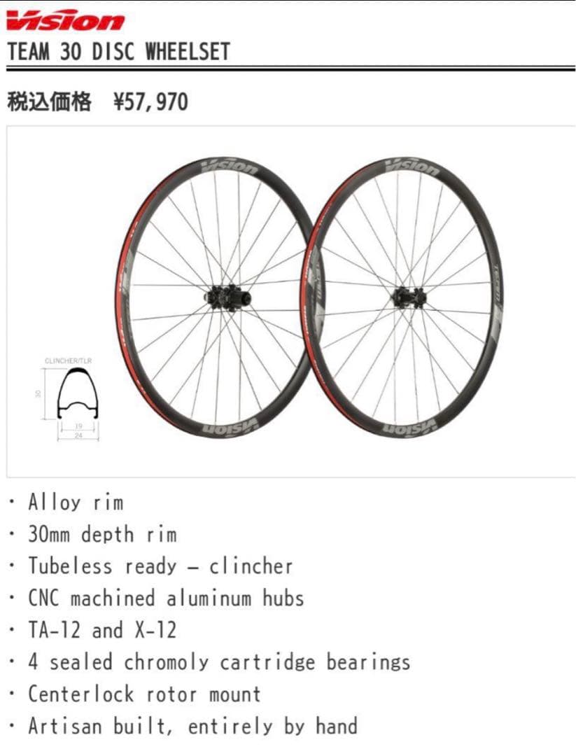 Vision TEAM30 DISC 未使用