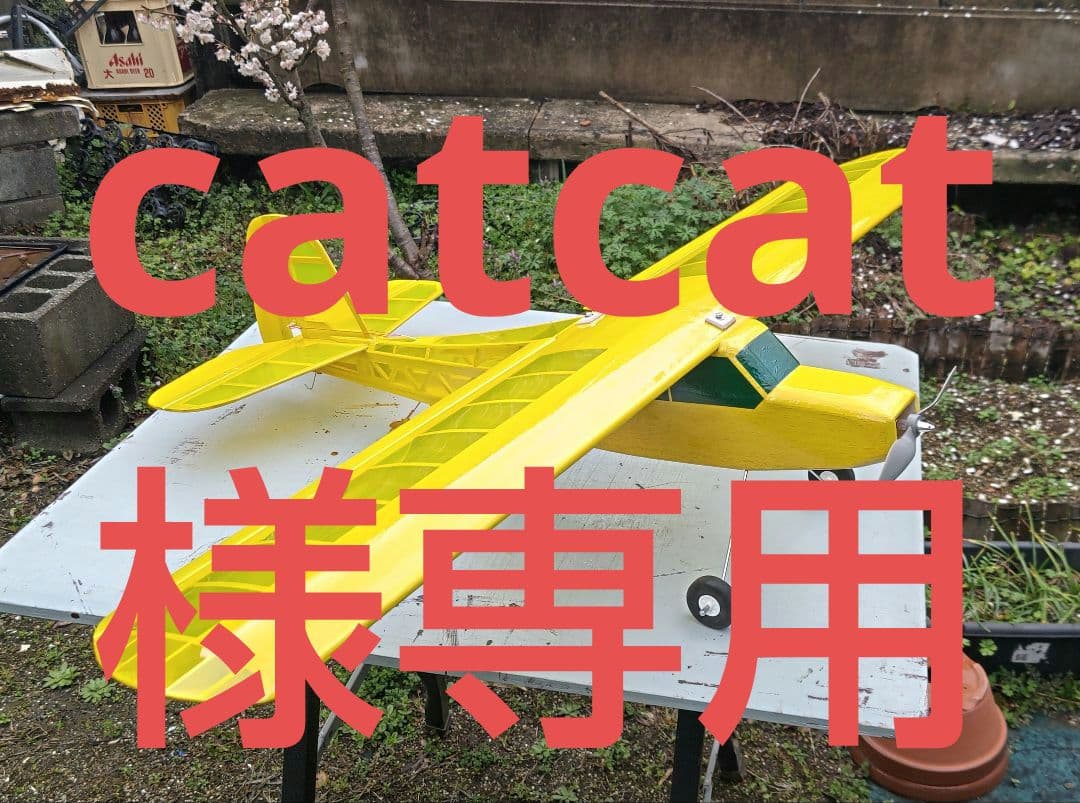 catcatラジコン飛行機