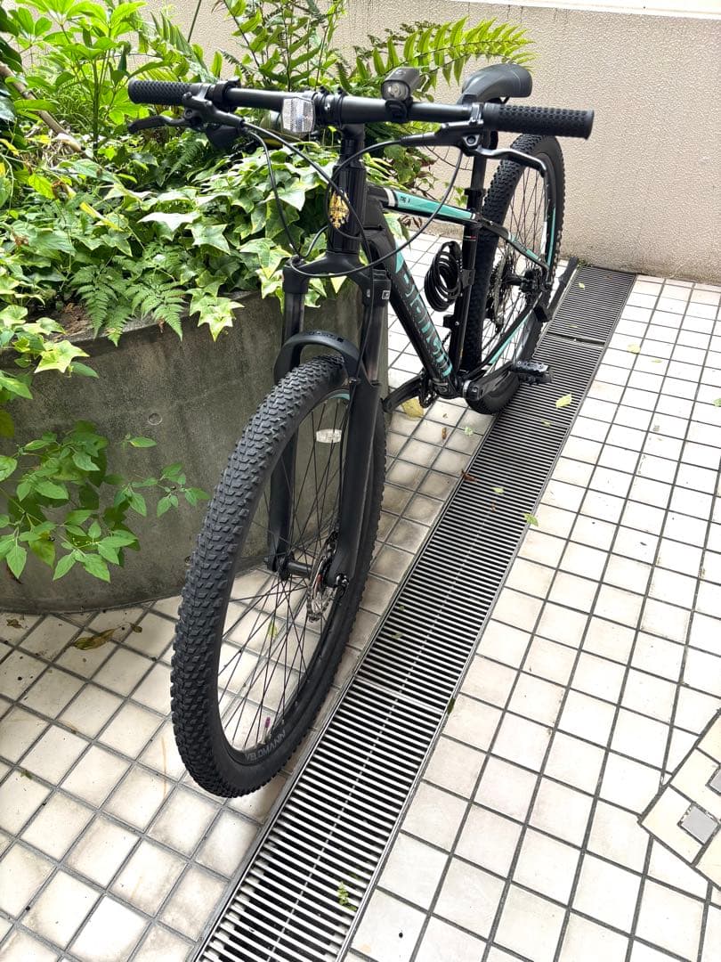 Bianchi magma 29.1(S43)LEDライトプレゼント