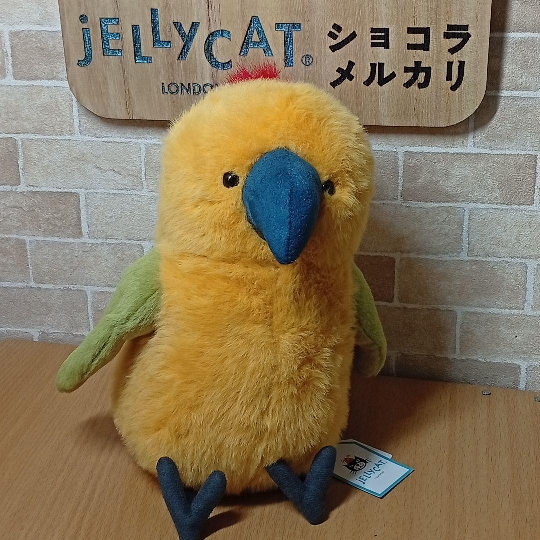 ジェリーキャット インコ 鸚哥  Budgeby Parrot