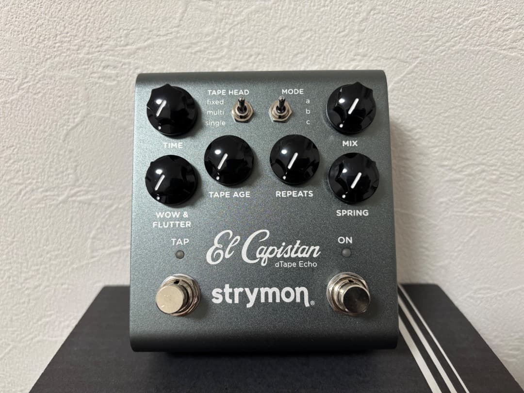 STRYMON El Capistan V2 2025年12月新品購入