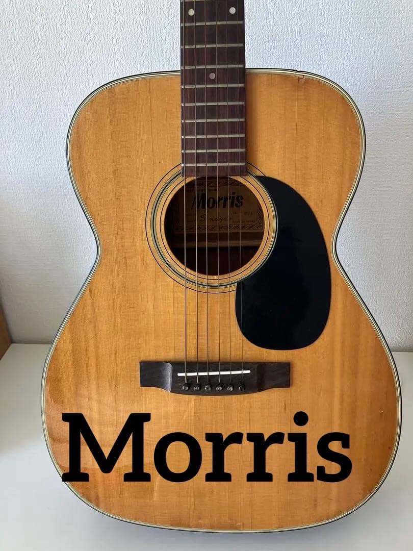 アコースティックギター　Morris F-10