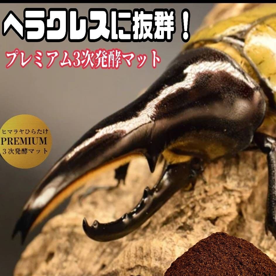 極上！プレミアム3次発酵カブトムシマット【80リットル】幼虫の餌、産卵にも抜群！