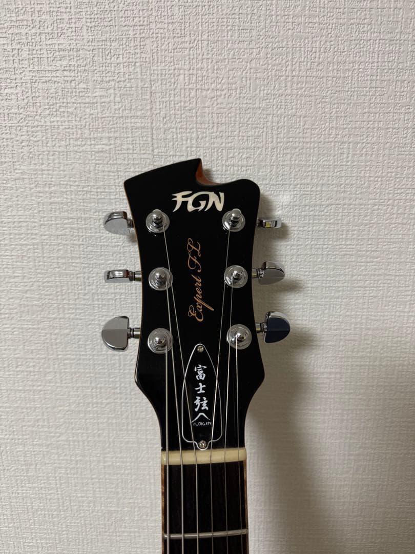 ギター FUJIGEN EFL-FM/VV