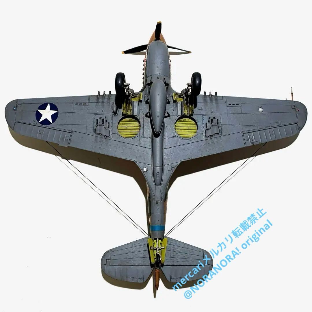1/48 カーチスP-40E ウォーホークJT86プラモデル 完成品