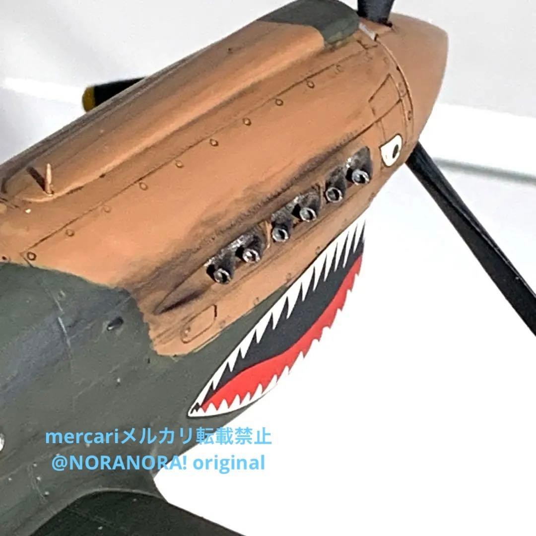 1/48 カーチスP-40E ウォーホークJT86プラモデル 完成品