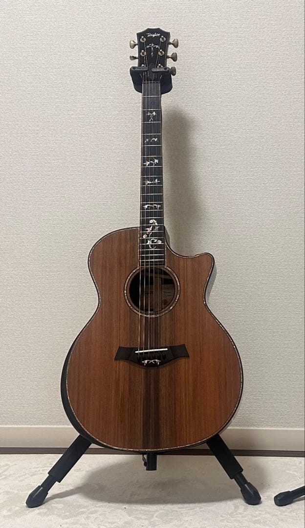 ギター Taylor 914ce Special Edition