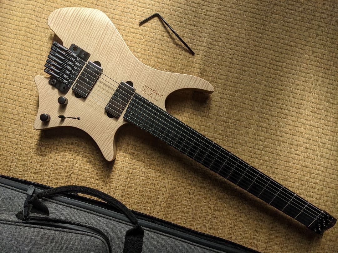 ギター Strandberg Prog 7