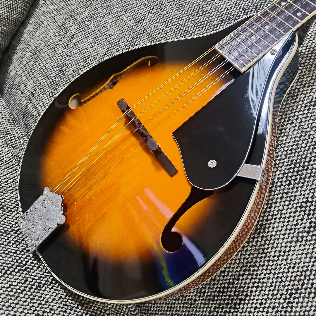 ARIA AM-20 マンドリン 8弦