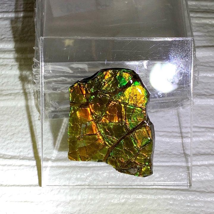 【アンモライト】貴重！美しいアンモライト