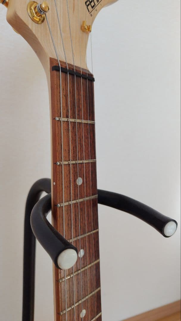 ギター FERNANDES DIGI-ZO HYPER