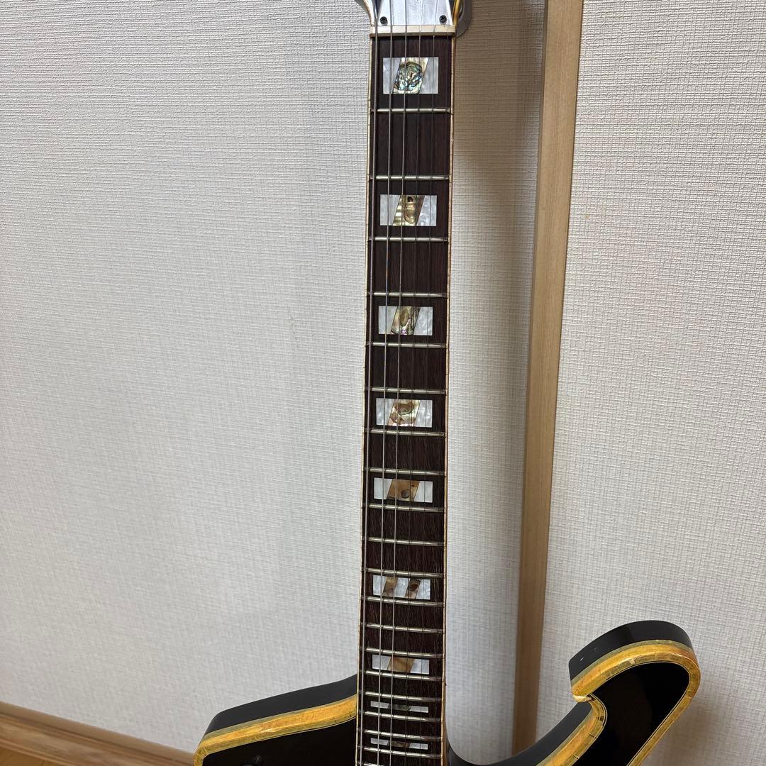 m*r様 Ibanez Paul Stanley