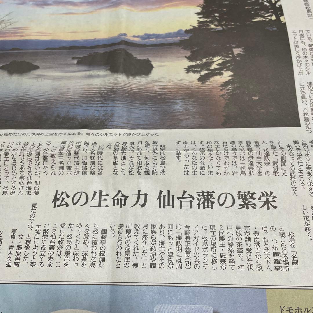 古材　茶道具　茶掛　短冊掛け　松島　観瀾亭　伏見城　伊達政宗　どうする家康