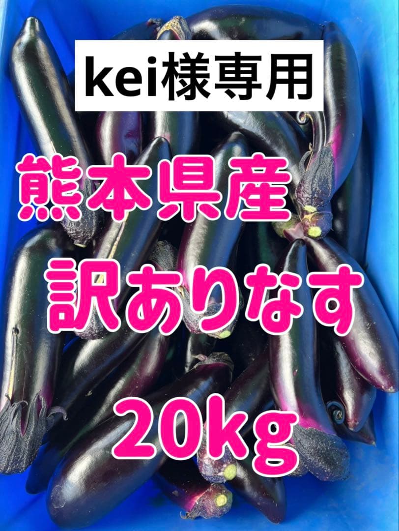 【kei】 熊本県産 訳ありなす 箱込み20kg