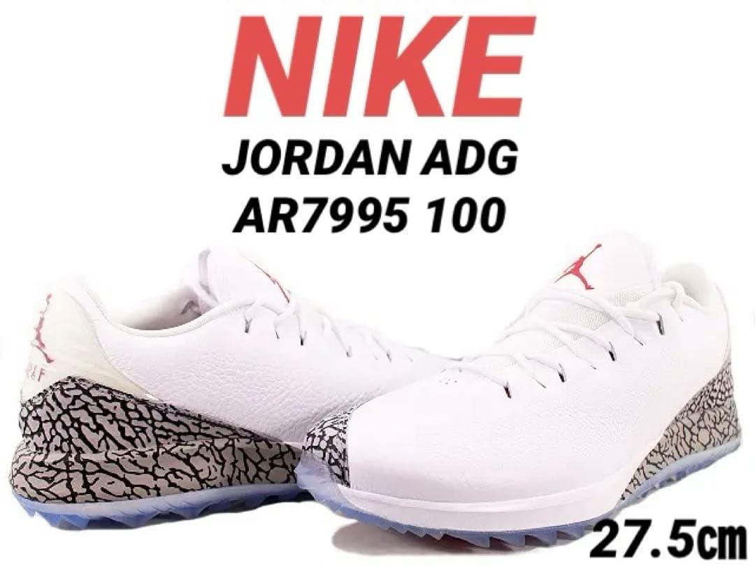シューズ(男性用) NIKE JORDAN ADG AR7995 100