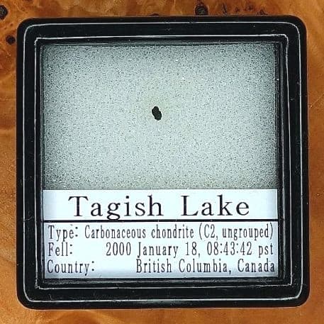 彗星のカケラ！Tagish Lake 隕石 標本