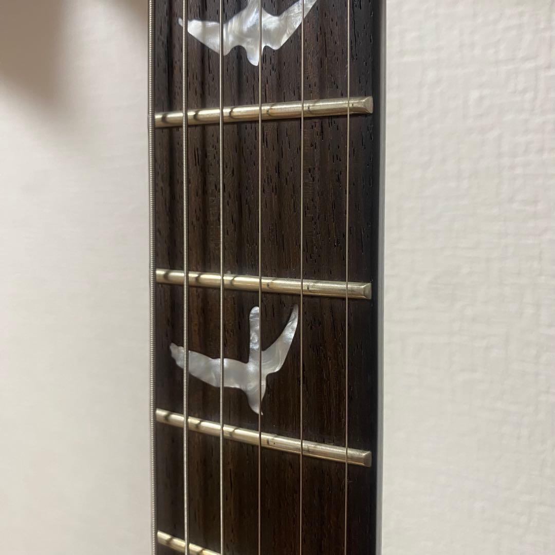 ポールリードスミス PRS SE Standard 24 Multi-Foil