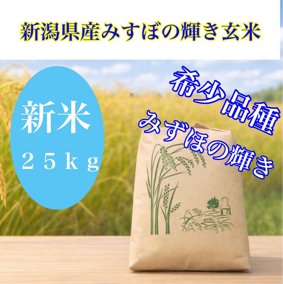 令和７年産米　新潟県産みずほの輝き玄米　２５キロ　米