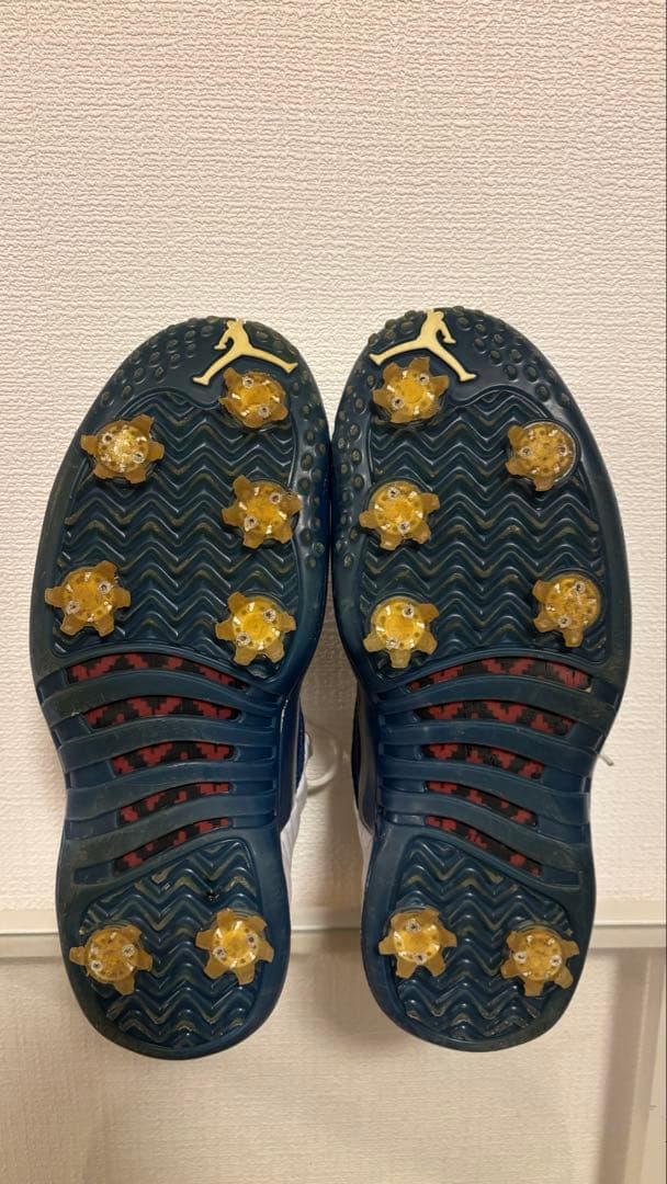 Nike Air Jordan 12 Low Golf ナイキ　ジョーダン12