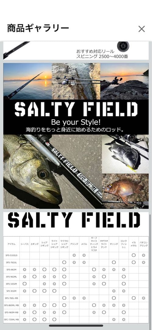 Salty Field SFS 965M MB シーバスロッド　新品