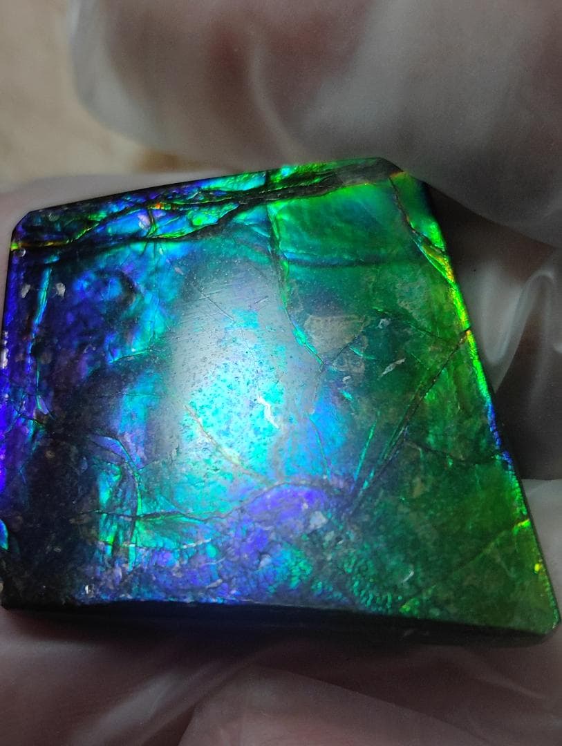 アンモライト　ルース　24-0743 37500