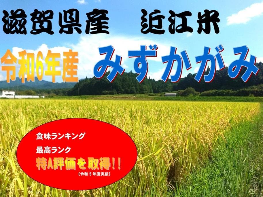 u*7様 甲賀のおじいちゃんのおいしいお米　みずかがみ　精米済約9㎏　リピーター