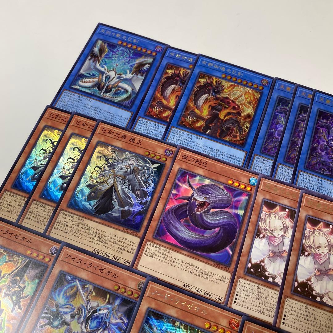 遊戯王　巳剣 ライゼオル　デッキ