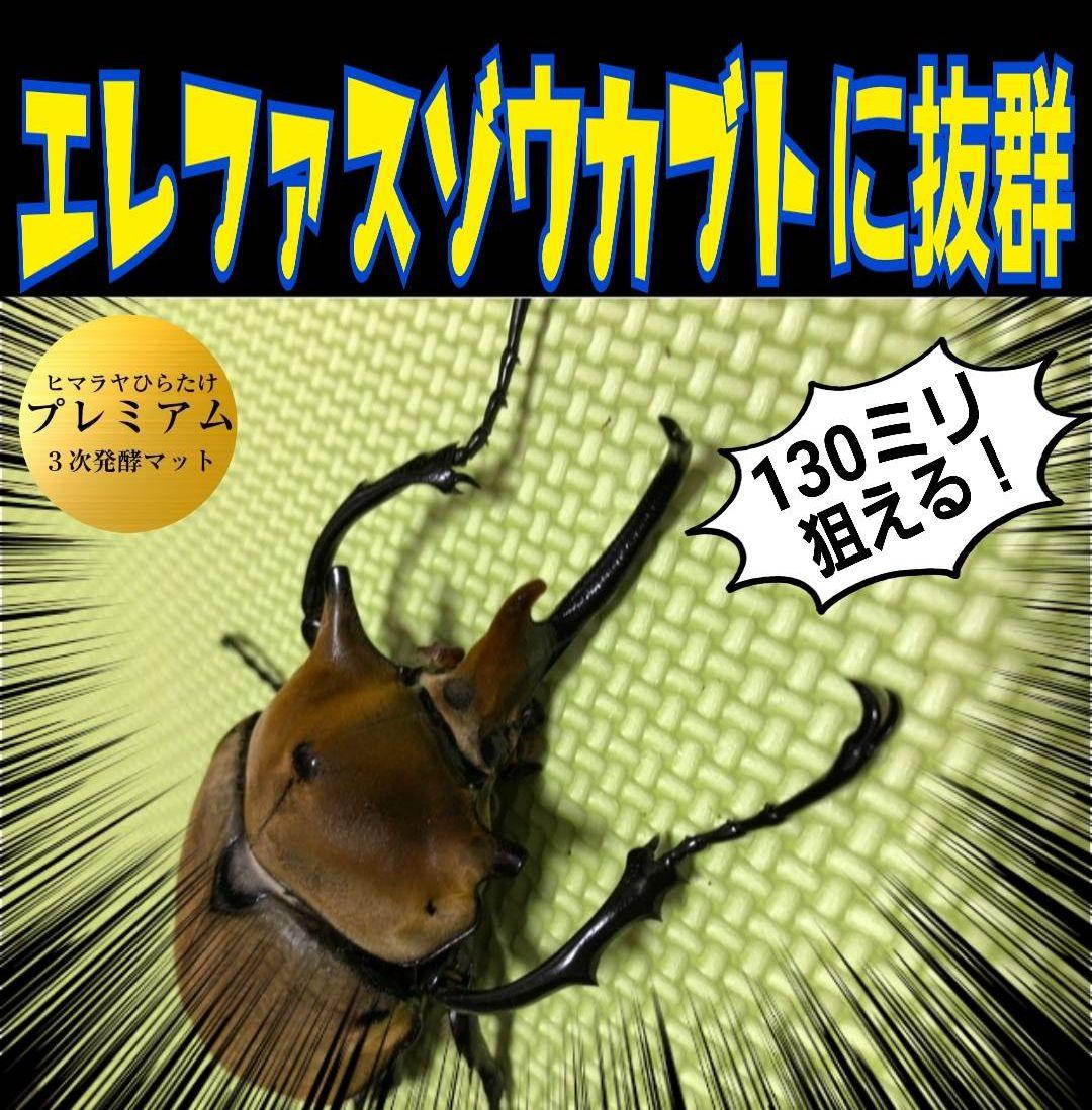 極上！プレミアム3次発酵ヘラクレスマット【80L】トレハロース・キトサン強化配合