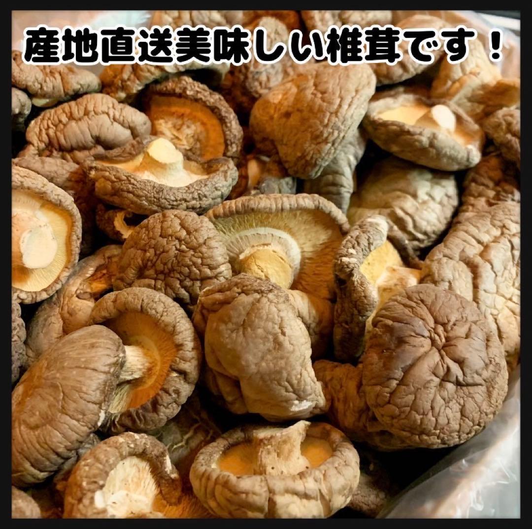【産地直送】 乾燥椎茸　2kg 業務用　しいたけ　岩手県産　東北の味　お買い得