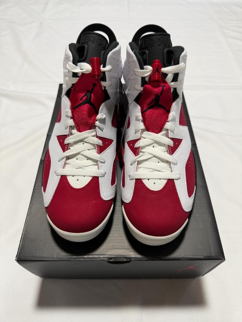 ナイキ NIKE AIR JORDAN 6 レトロ Carmine カーマイン