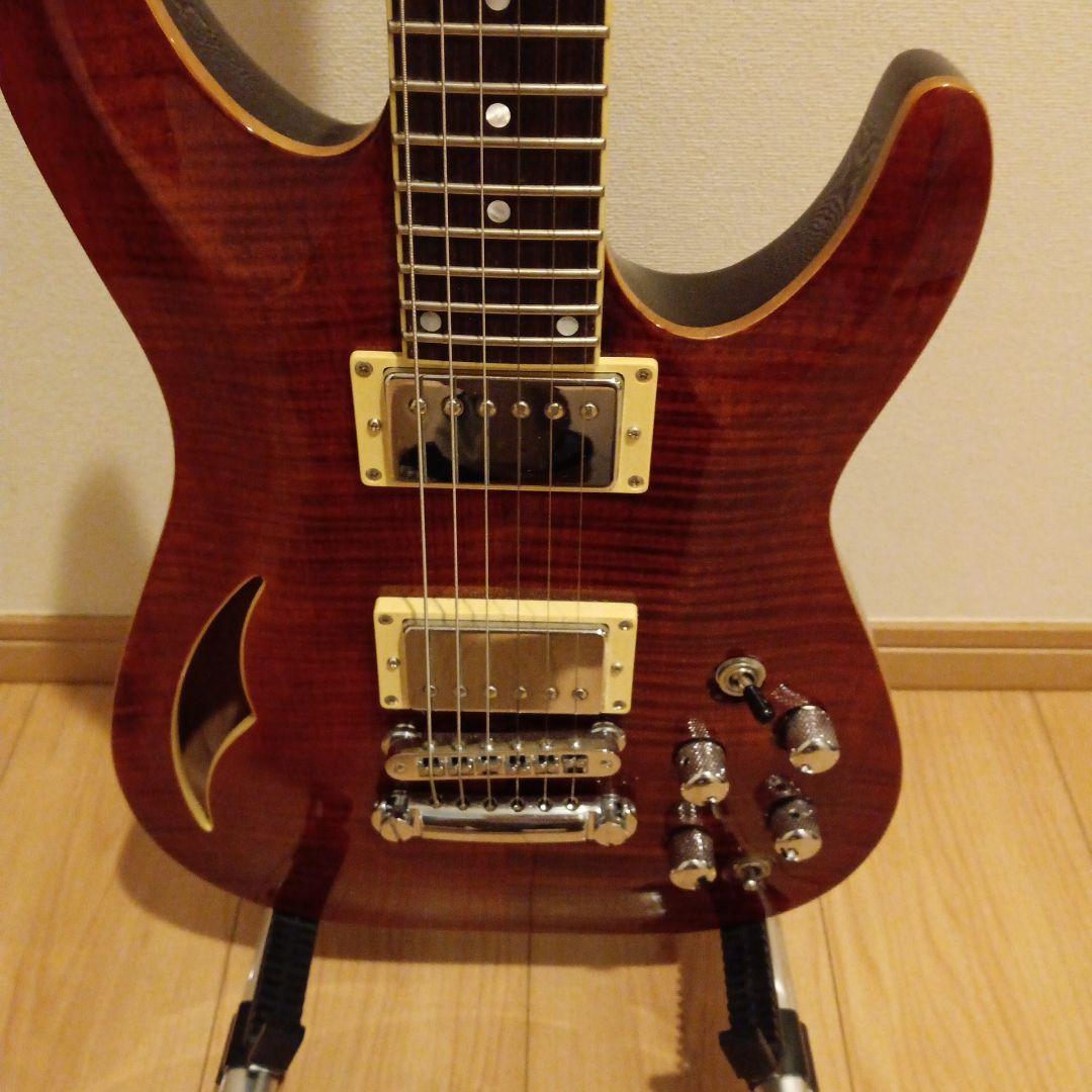 SCHECTER ( シェクター ) C-1 E/A CAT'S EYE