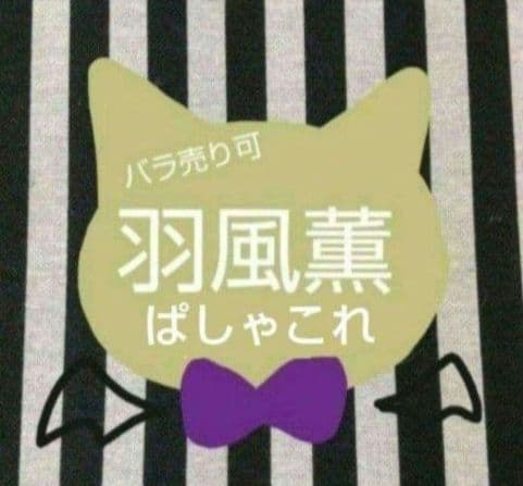 あんスタ 薫 ぱしゃこれ 箔押し 中国 星幻 冬日 星燦 3周年 4周年 5周年
