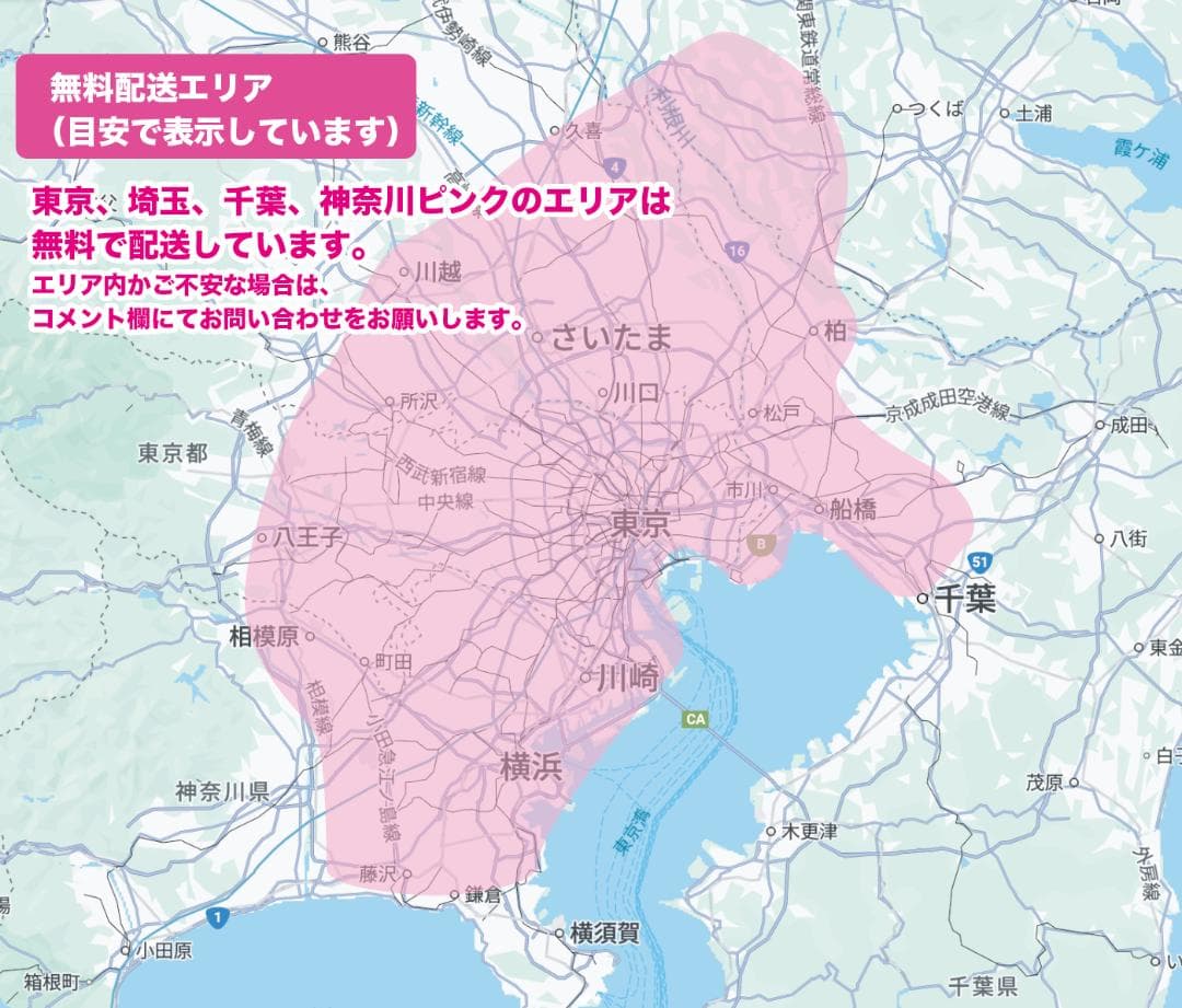 大幅値下げ中【PANASONIC】20インチ子供乗せ電動自転車NZ3011