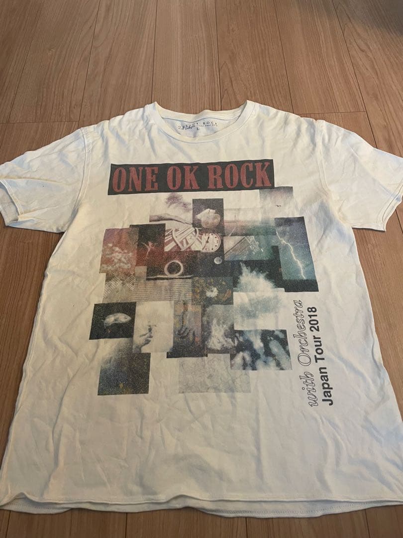 ONE OK ROCK TOUR Tシャツ&ロンT 10枚セット