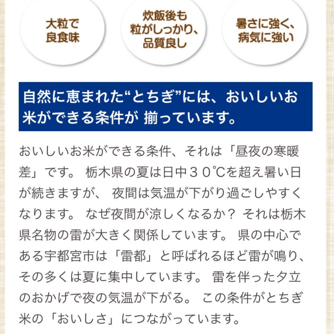 リピーター出品　令和6年産とちぎの星 10kg