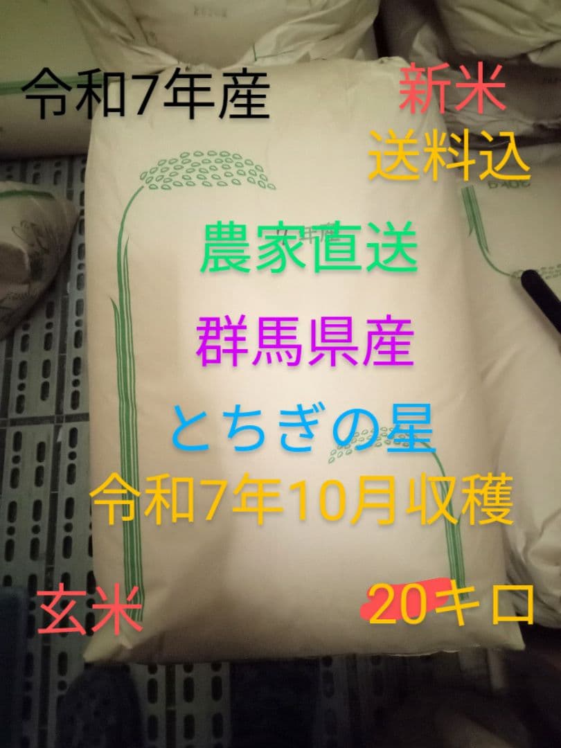 R7年産 新米 群馬県産 とちぎの星 20キロ 玄米 送料込 20kg ①