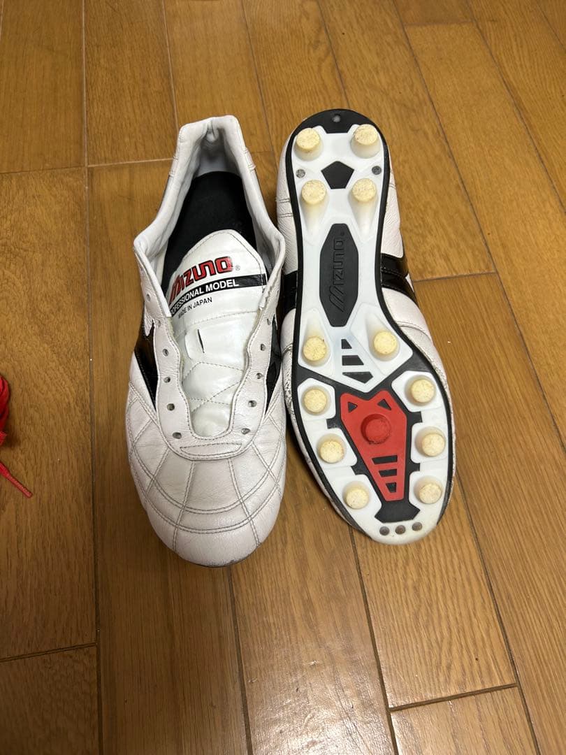 Mizuno Morelia モレリア　クロスステッチ