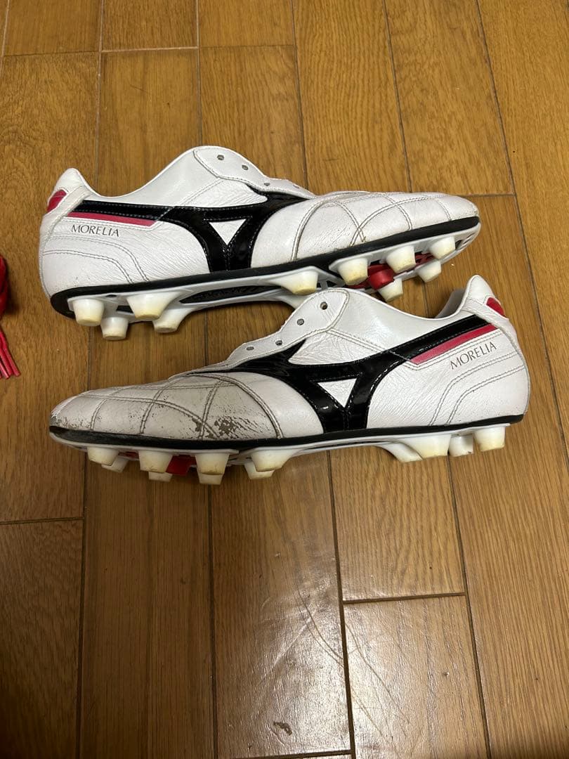 Mizuno Morelia モレリア　クロスステッチ