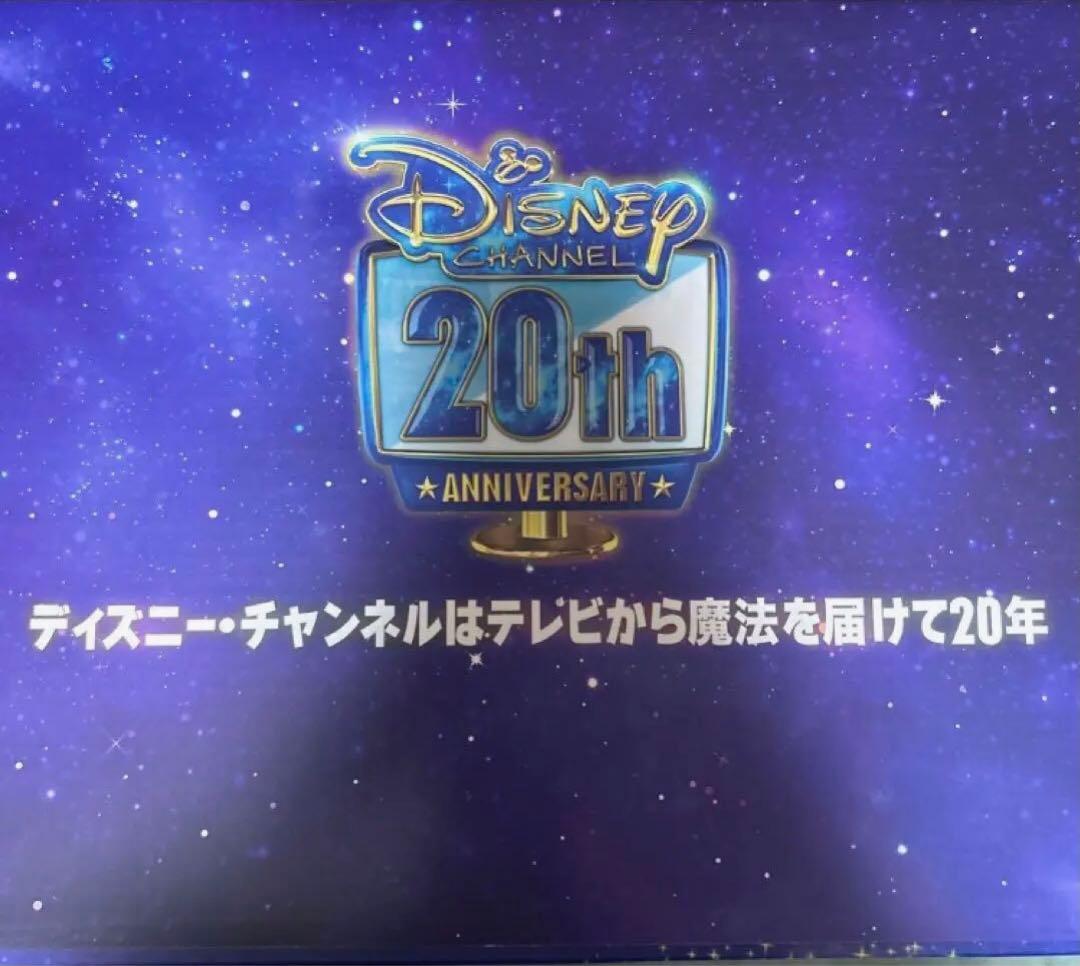 ミッキー&ミニー ぬいぐるみセット ディズニーチャンネル20周年の記念品