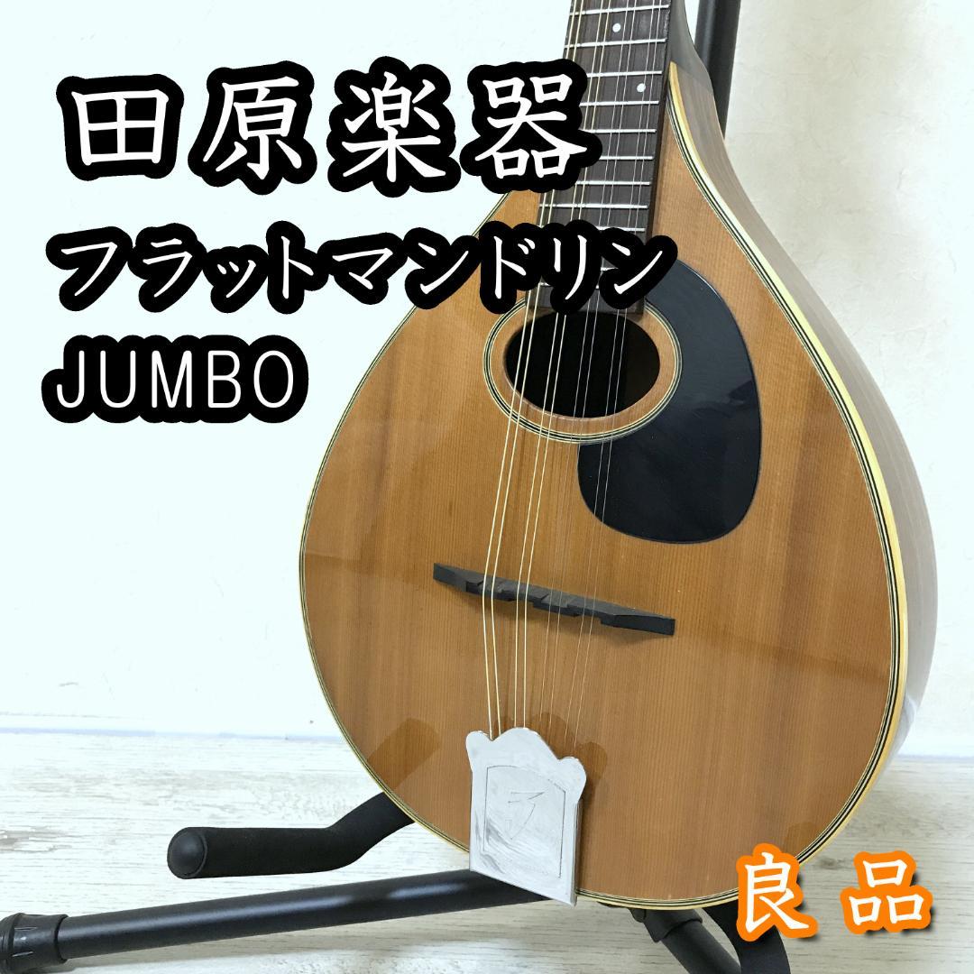 【希少/良品】JUMBO 田原楽器 フラットマンドリン Martin Style