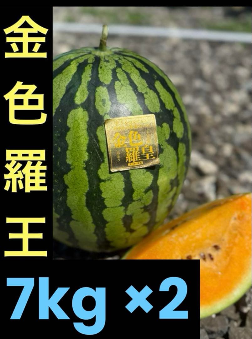 青森県産　金色羅王　2玉