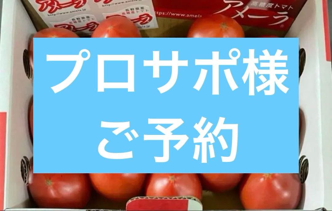 プロサポ様 ご予約
