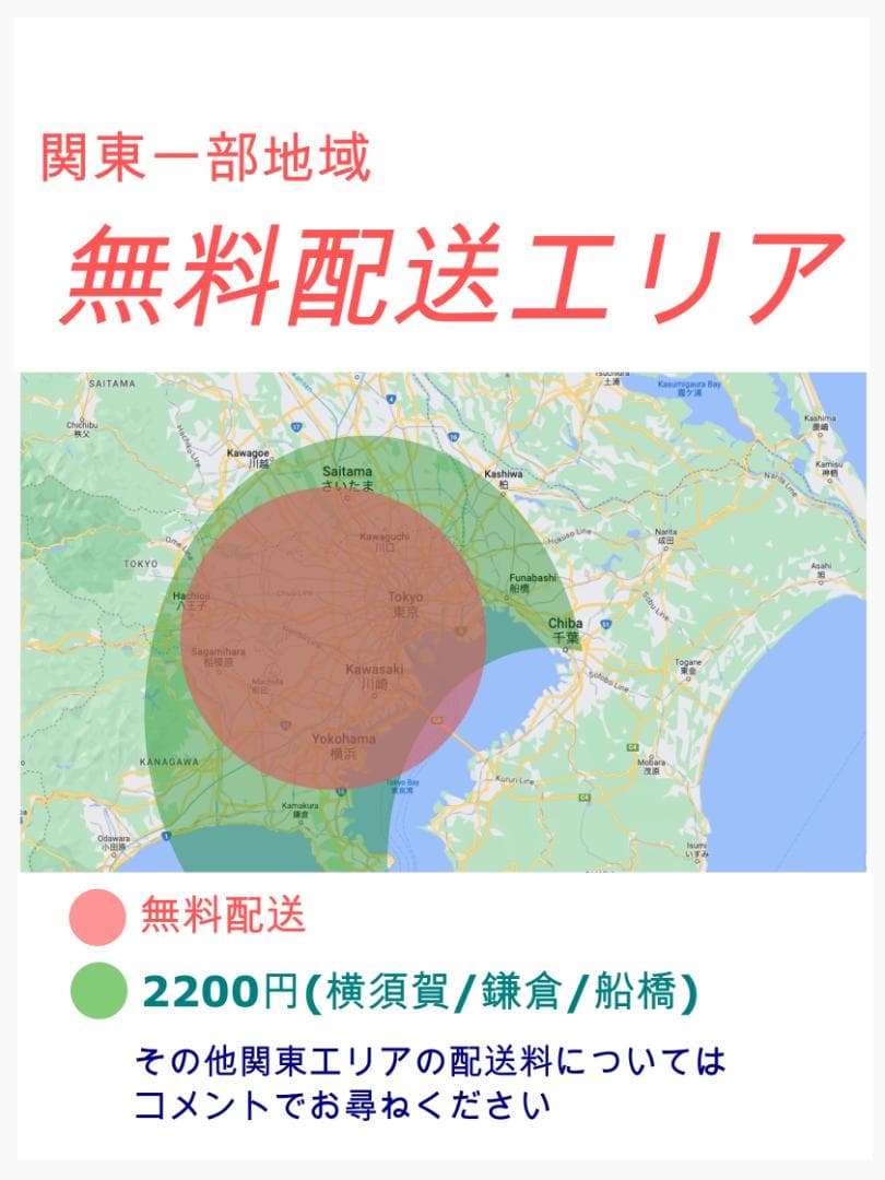 ビッケポーラーe　2019年モデル⭐️　子供乗せ電動アシスト自転車　Y2078