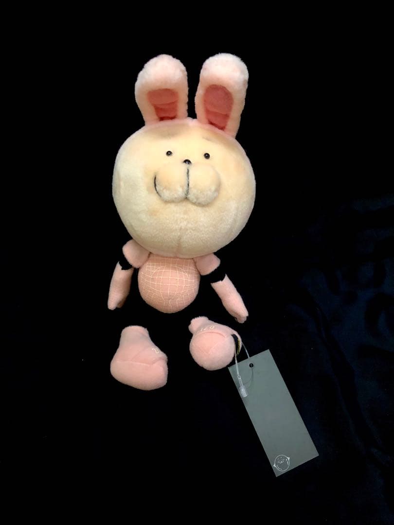 【新品入荷♪激レア！】20471120 うさぎHyoma soft toys♪