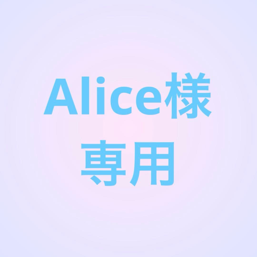 ぬいぐるみ Alice