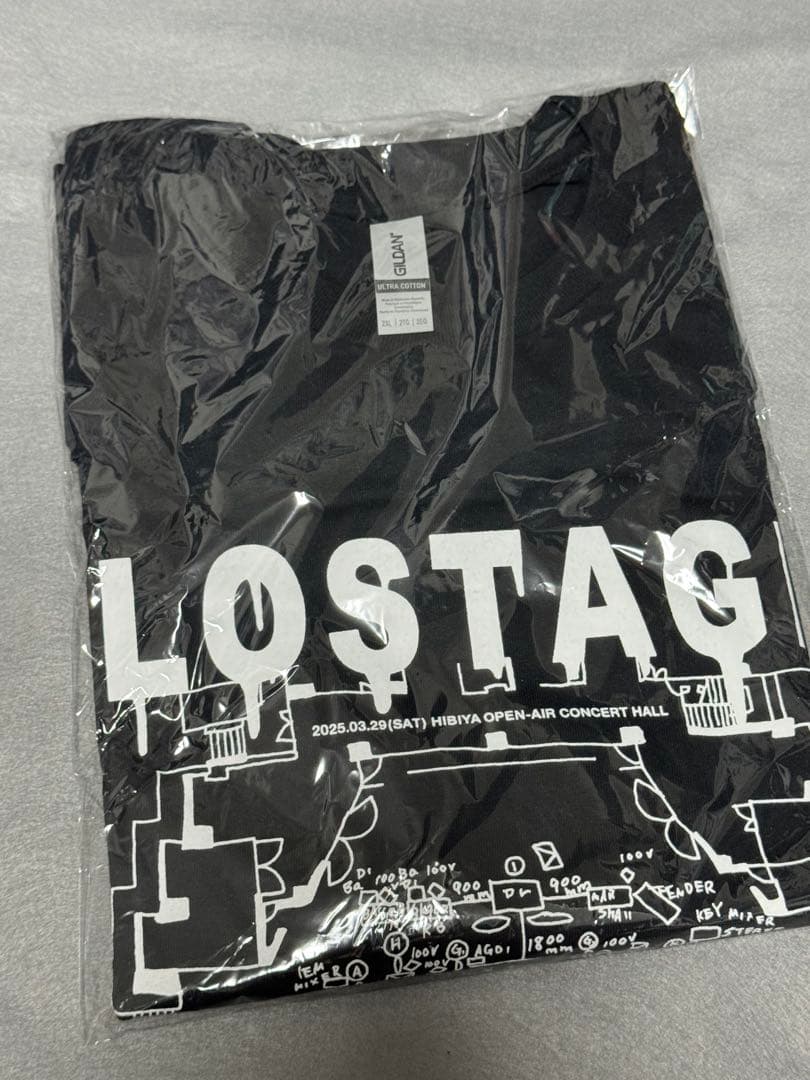 LOSTAGE 野音 Tシャツ 2XL サイズ グッズ バンド ロストエイジ