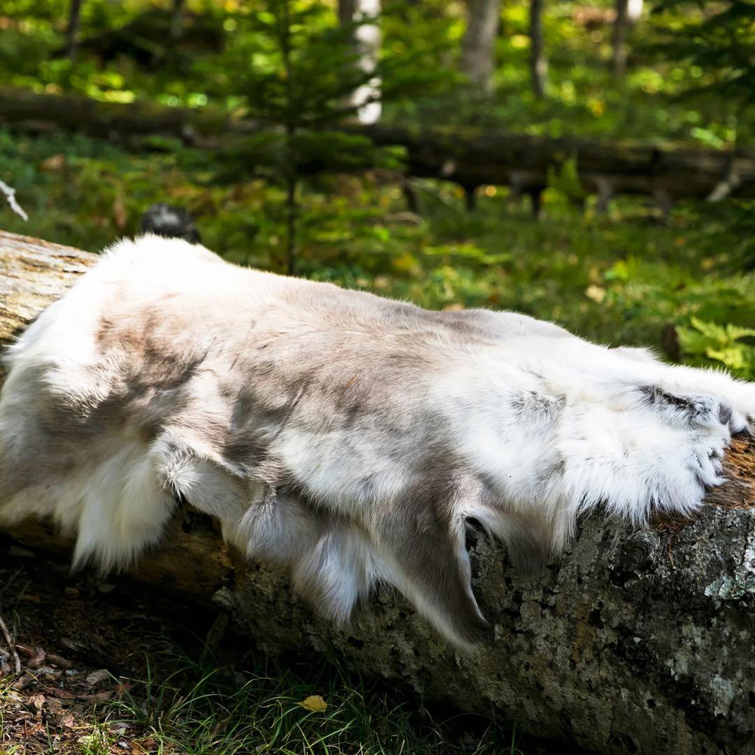 新品DALUM REINDEER FUR L ダーラム トナカイファー L