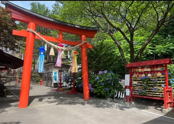 虻田神社♡北海道　洞爺　白蛇　最強パワースポット　龍の道　御朱印帳　火水　鳳凰