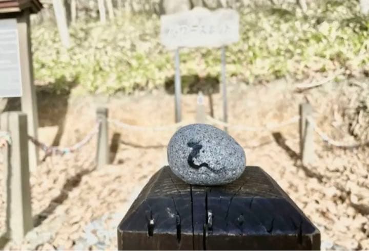 虻田神社♡北海道　洞爺　白蛇　最強パワースポット　龍の道　御朱印帳　火水　鳳凰